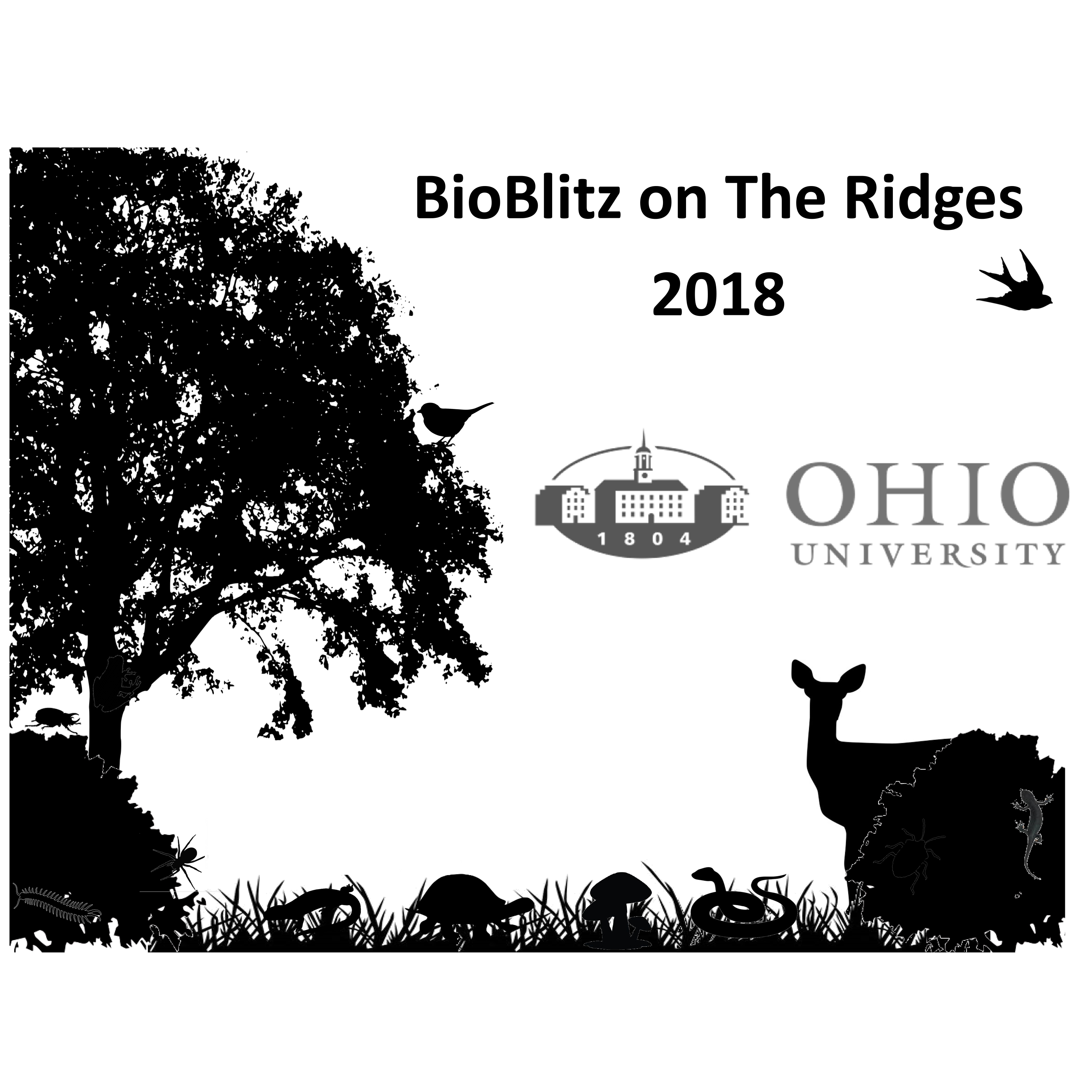 2017 GEES BioBlitz | Department of Evolution, Ecology and Organismal ...