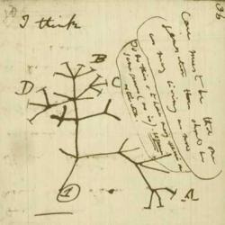 2012 Darwin Presentations | Department of Evolution, Ecology and ...