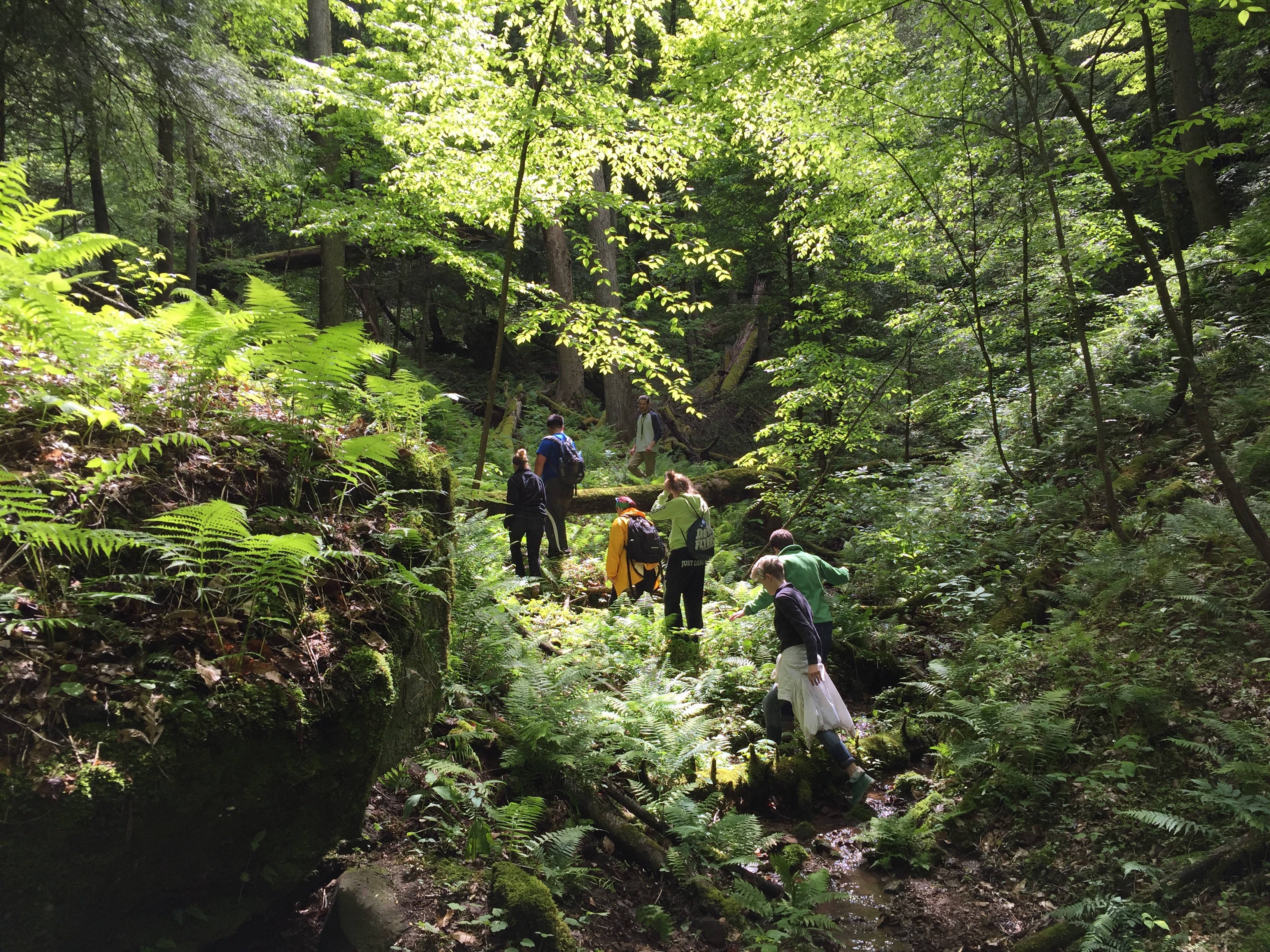 Ohio Plants class at Deep Woods | Department of Evolution, Ecology and ...